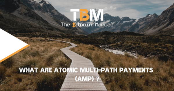 What Are Atomic Multi-path Payments (AMP)? - The Bitcoin Manual